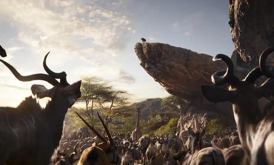 Discussion on the relationship between man and nature in The Lion King ...