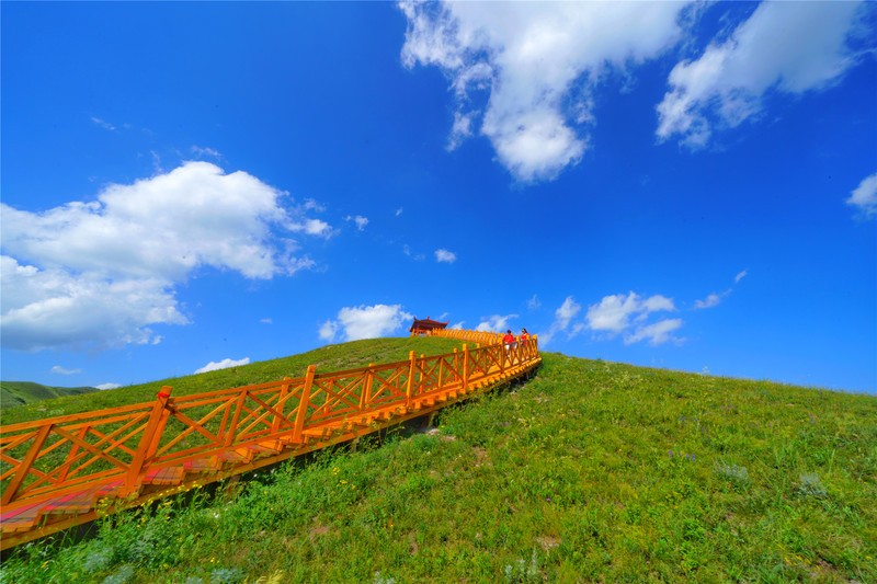 Fengning Fairy Valley|Bashang Colorful Forest - iMedia