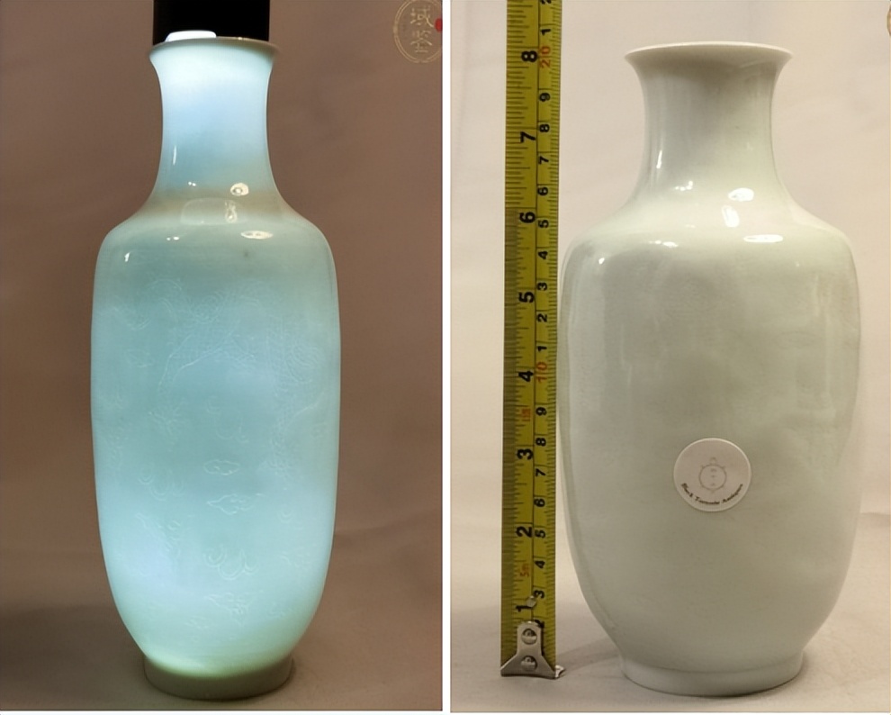 Who are the well-known experts identified by the Domain Check Platform ...