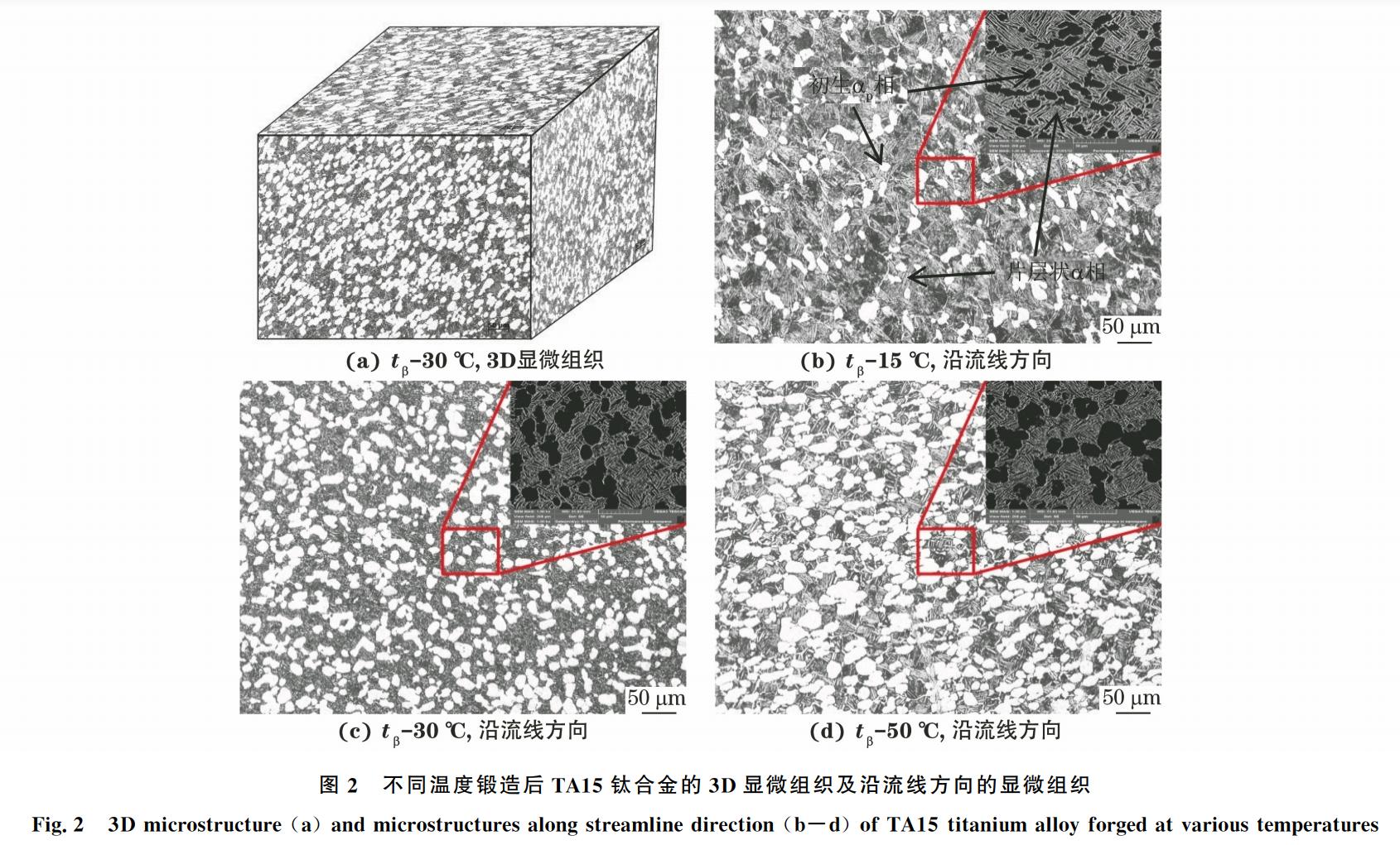 Share: Effect of Forging Temperature on Microstructure and Anisotropy ...