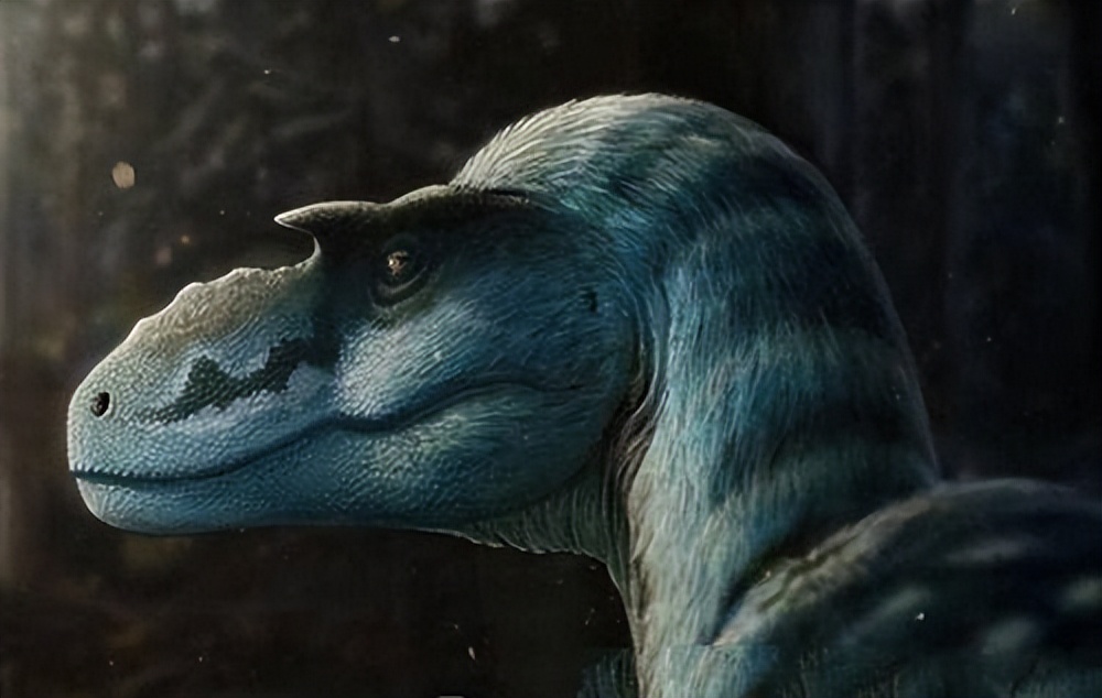 76 million years ago, the Gorgon was only 9 meters long, a land hunter ...