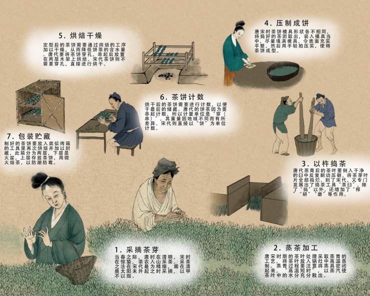 The history of tea production in China, the emergence, development and ...