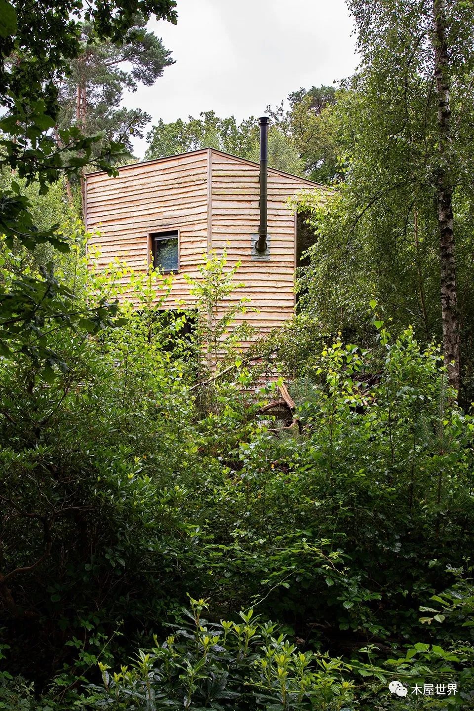 Simple natural life maximized, ecological holiday house in the woods on ...