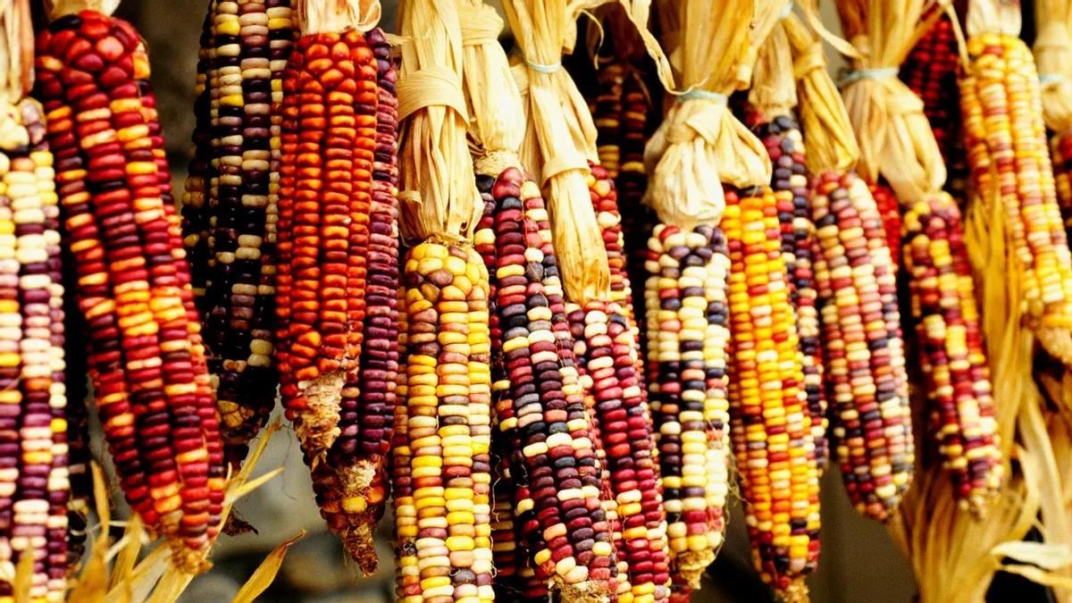 Food Culture in South America in the 1700s-1790s: Traditions and ...