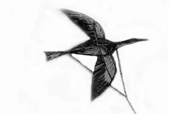 The invention of the kite is the yearning of the ancients for the sky ...
