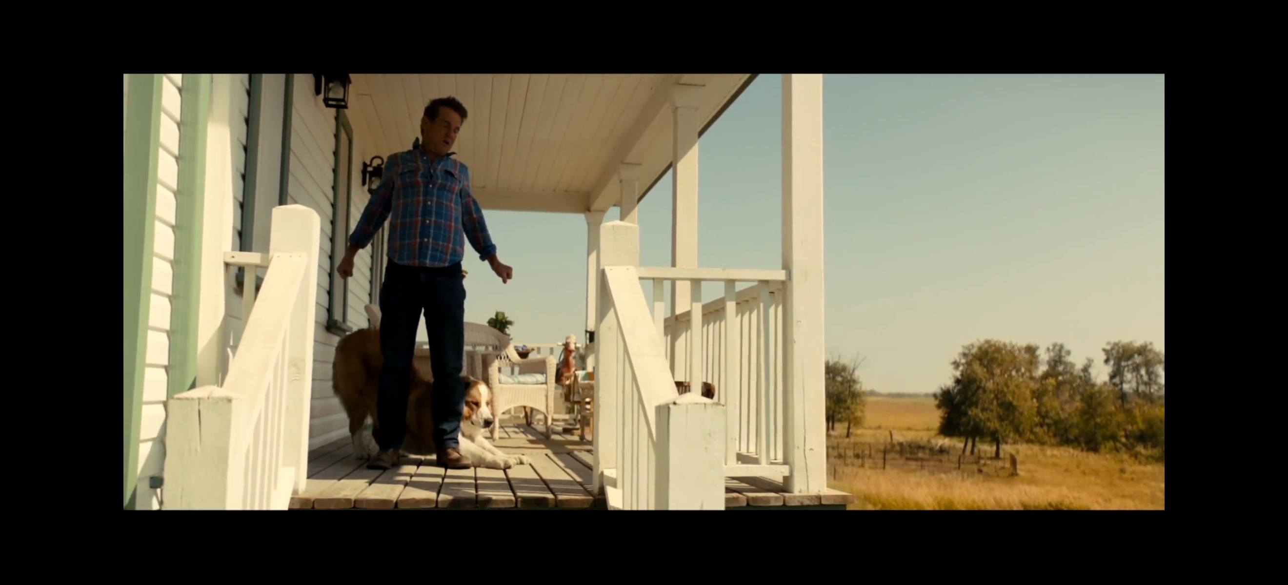 A movie that perfectly interprets the relationship between dogs and ...