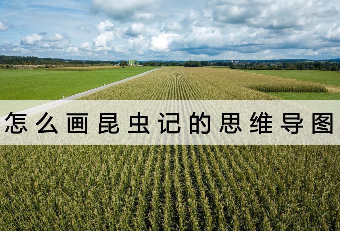 How to draw a mind map of insects? Click to learn - iMedia