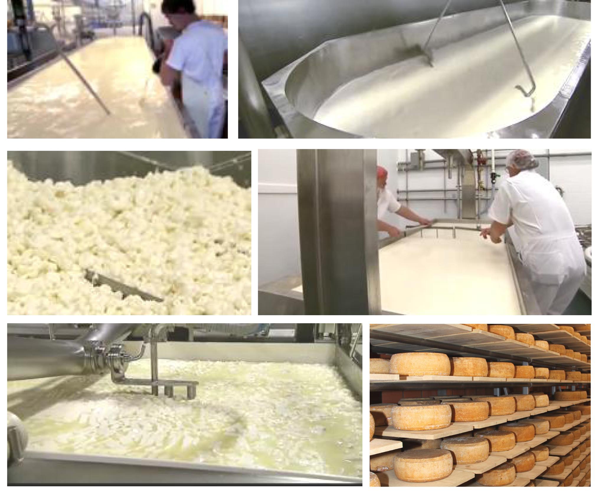 What exactly is cheese and why is it so expensive, you know? - iNEWS