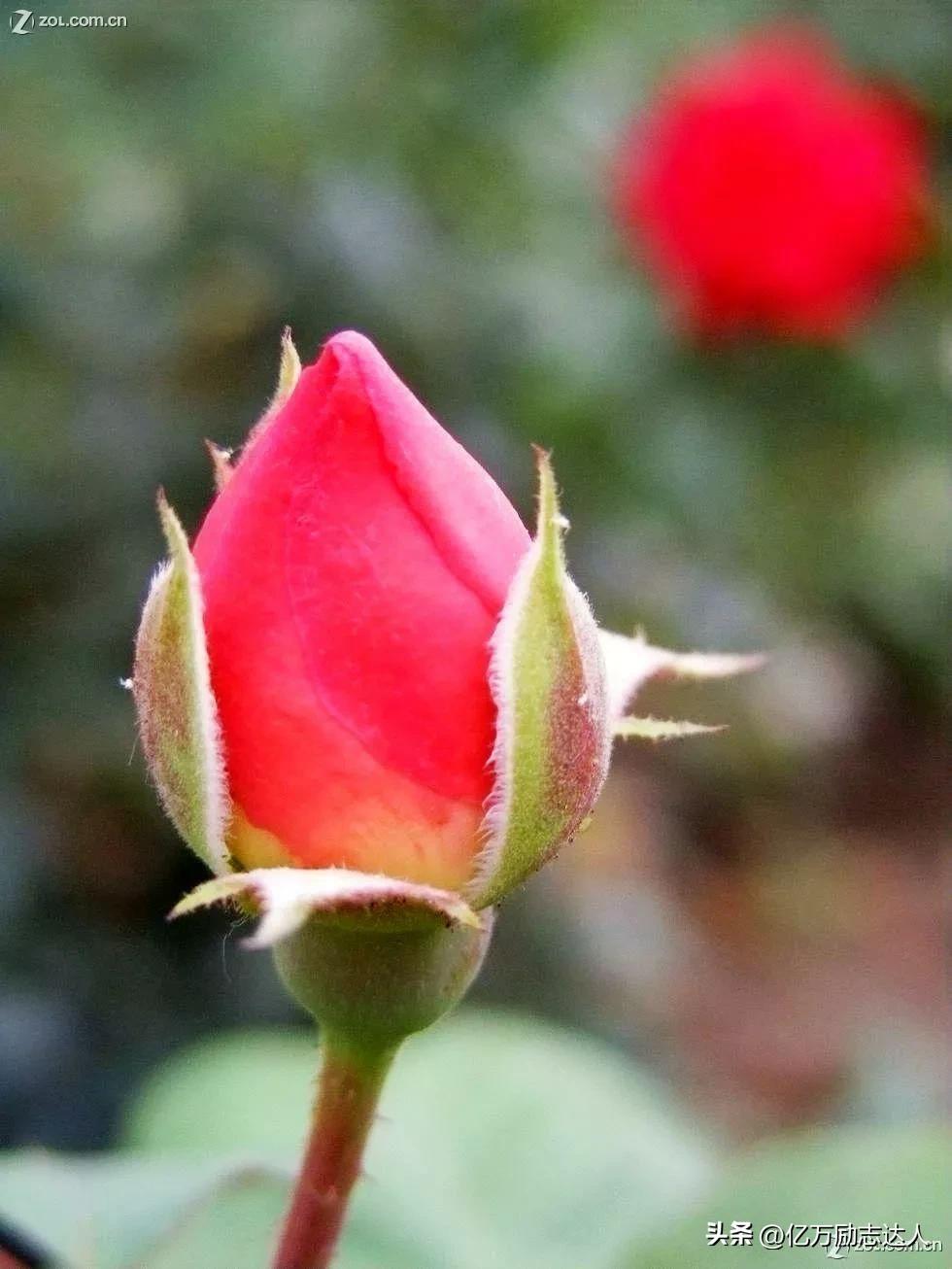 The legend of Tang Yao, the great-great-grandson of the Yellow Emperor - iNEWS