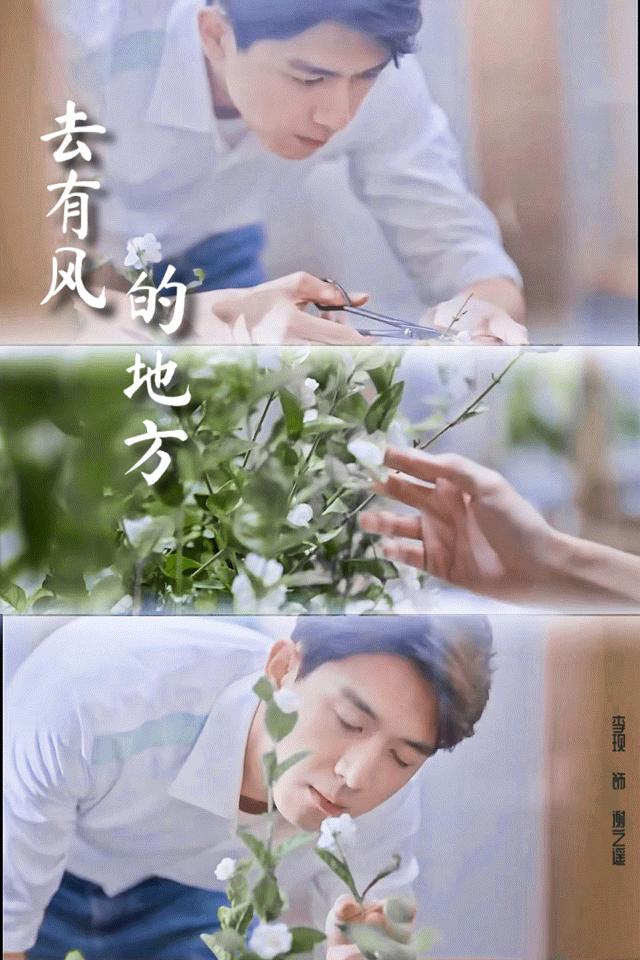 Li Xian's "Going to a Windy Place" shares the poster of Xie Zhiyao's ...