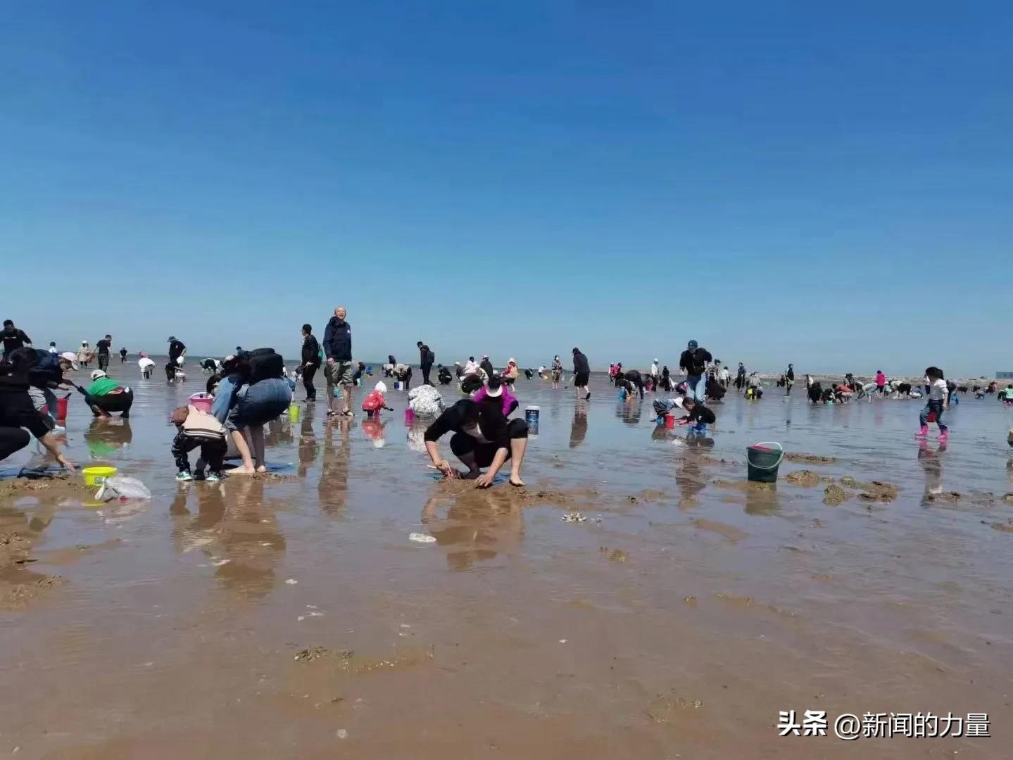 "Grandma Liu from the Vegetable Township" came to Weifang Longwei to ...