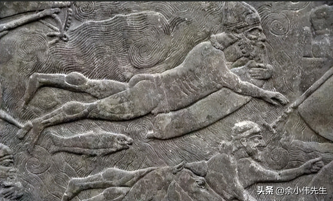 The origin and development of swimming, the contribution of different ...