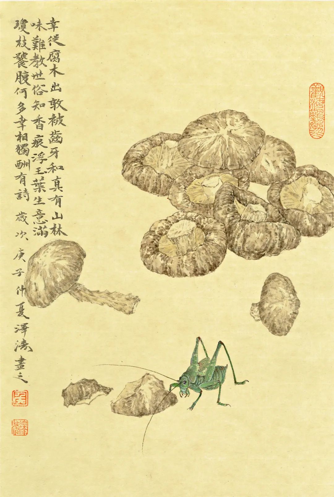 Hou Zetao: Interpretation and Exploration of Life in Fine Brushwork ...