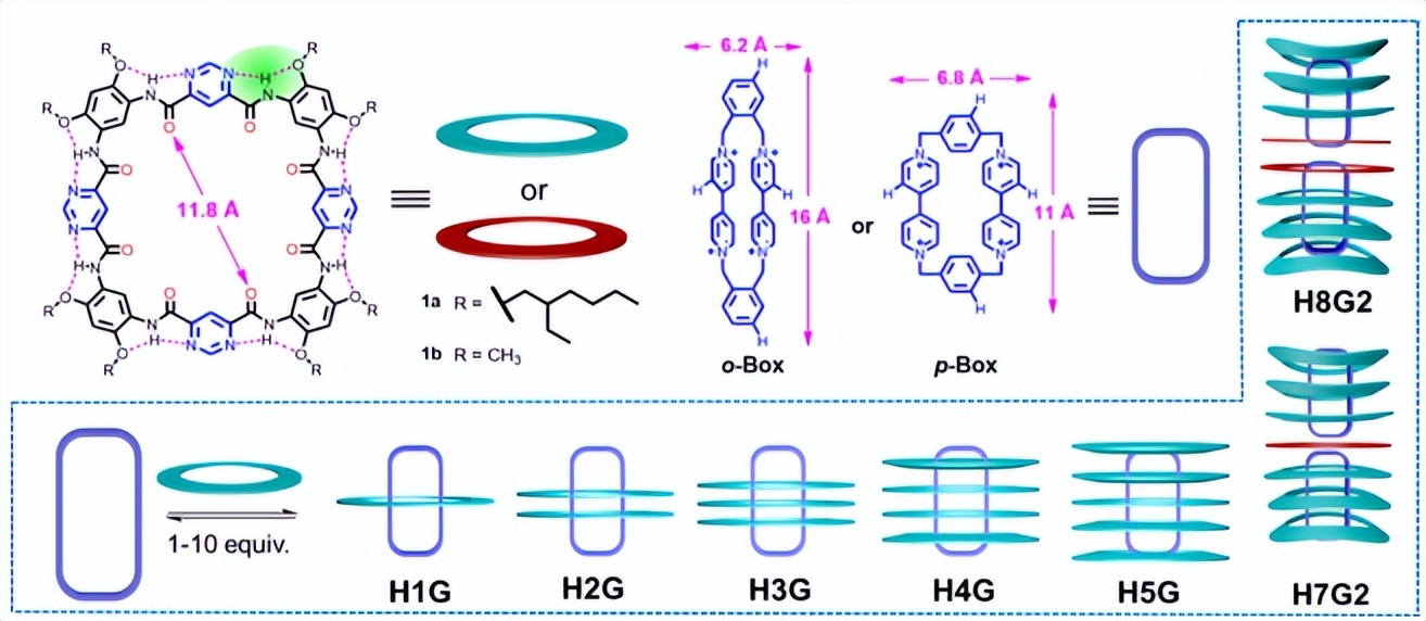 Yuan Lihua's team from Sichuan University has made progress in the research of ring-loop ...