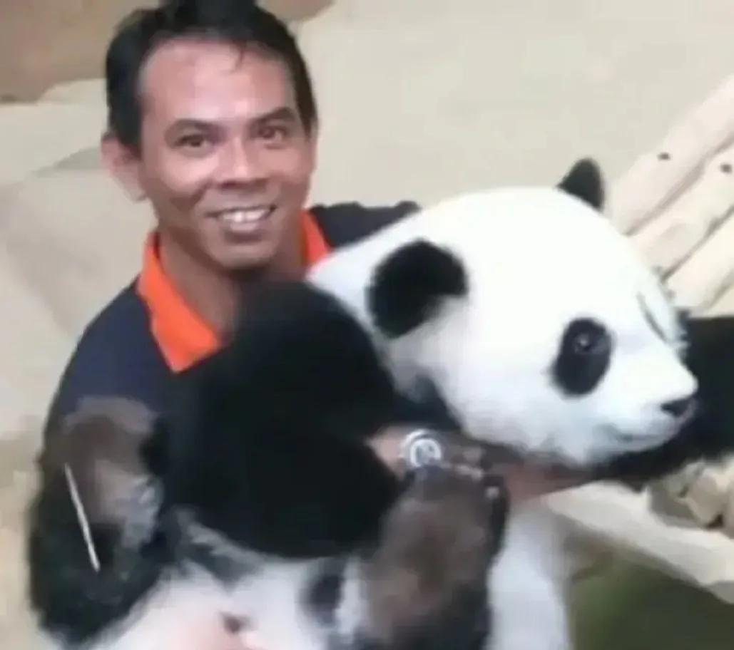 A happy family of three with the panda "Fu Bao" - iNEWS