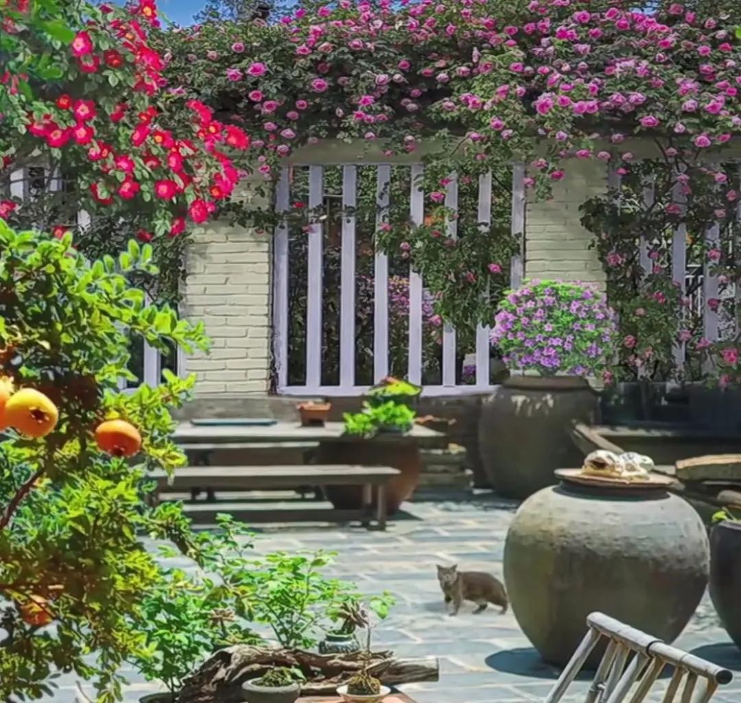 A gentleman is peaceful but not rude, neutral and not dependent - iNEWS