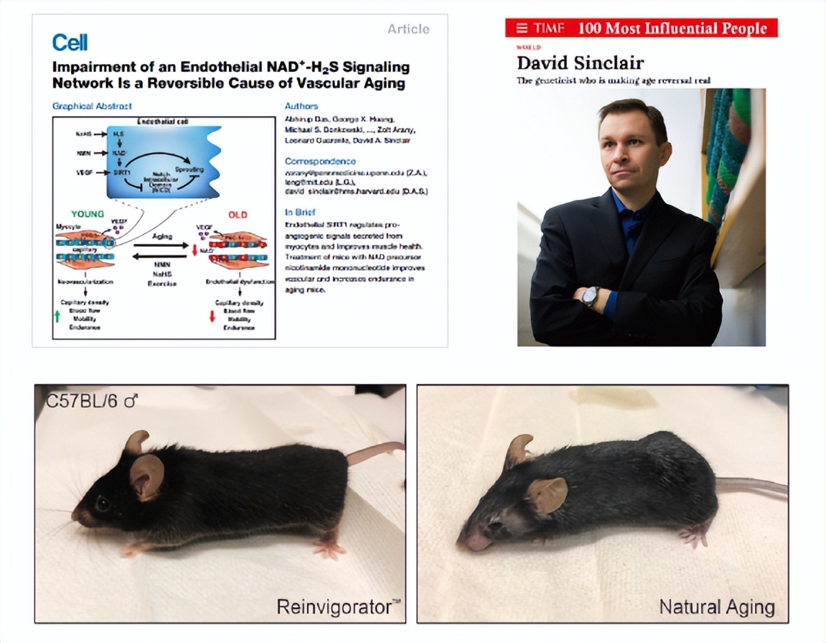 Cambridge University announced a new breakthrough in reversing aging ...