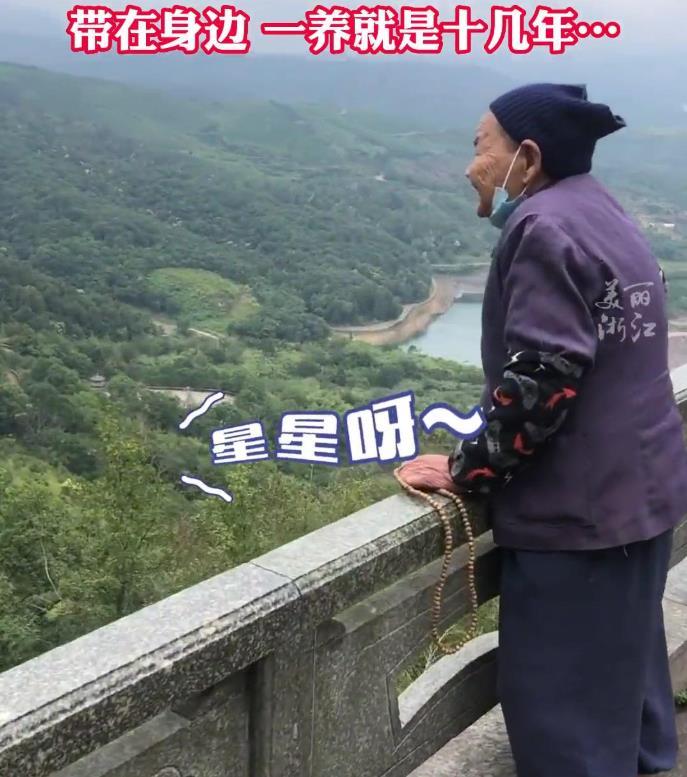 The one-armed monkey has been with its benefactor for 20 years, and it ...