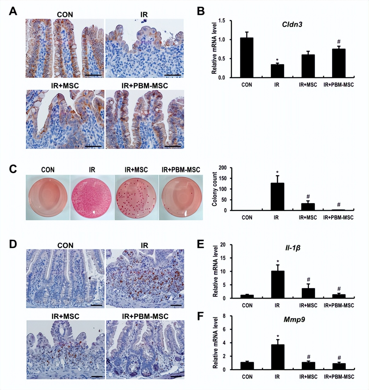 Interpretation of the literature: Laser therapy enhances the ...