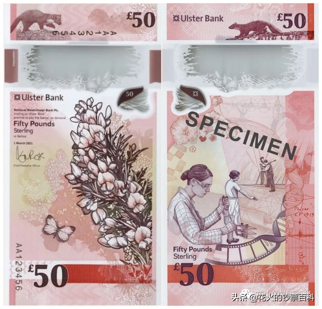 Ulster Bank in Northern Ireland unveils new £50 plastic note on Women's ...