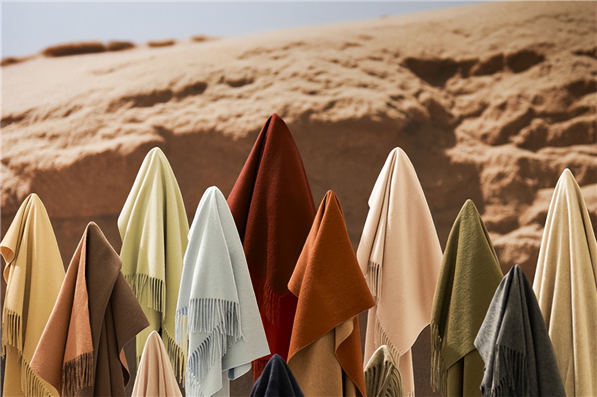Going to the world with a piece of cashmere, how does Erdos, whose ...