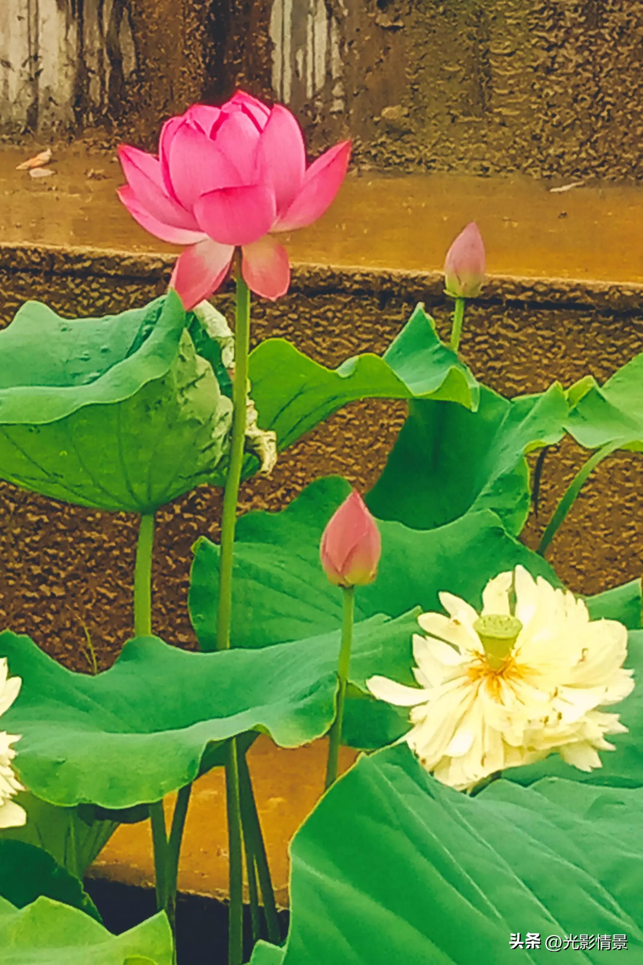 learn self-discipline - iMedia