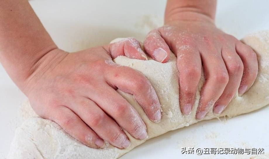 Teach you kneading skills, the method is simple and effortless - iNEWS