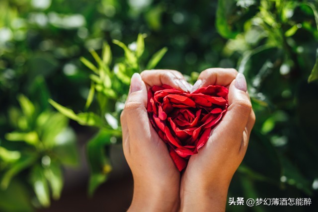 Why is there no simple, pure love in this world? Because there is no ...