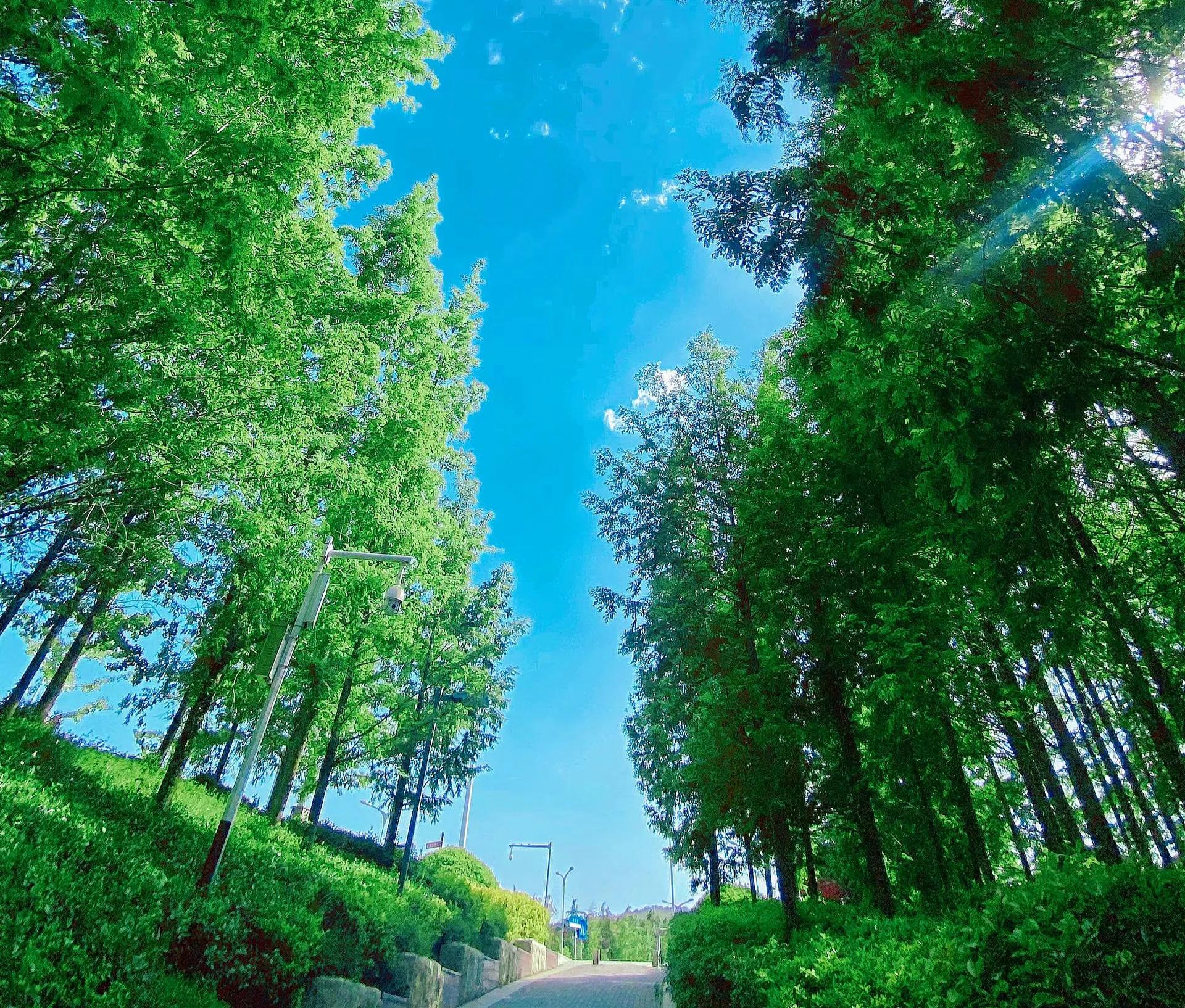 Wang Yangming: Filial piety comes first, fathers are kind and sons are ...