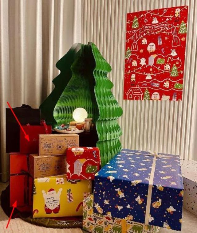 Ming Dao took photos to celebrate Christmas, gave his wife designer ...