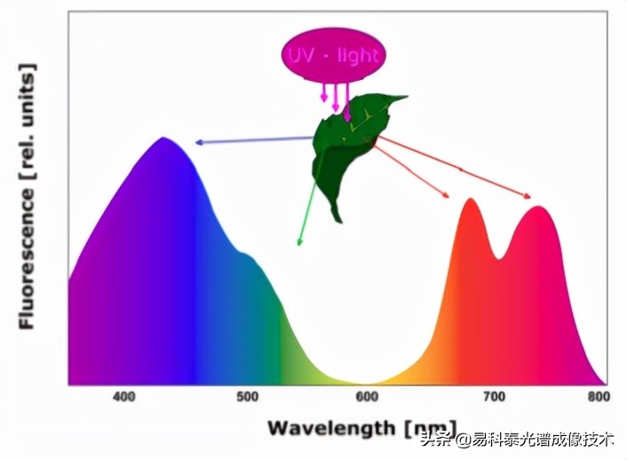 FluorCam Large Plant Multispectral Fluorescence Imaging Platform - iNEWS