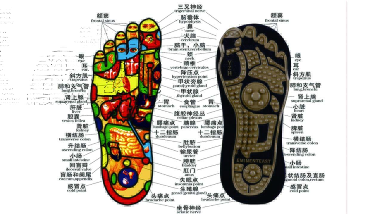 Ancient secrets of reflexology massage revealed: a journey of mind and ...