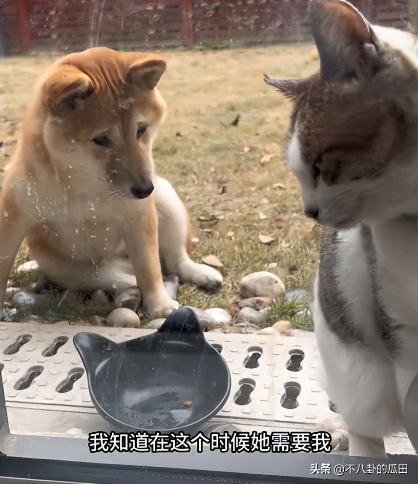 Well-known actor Sun Sihan took his wife and daughter to the United ...