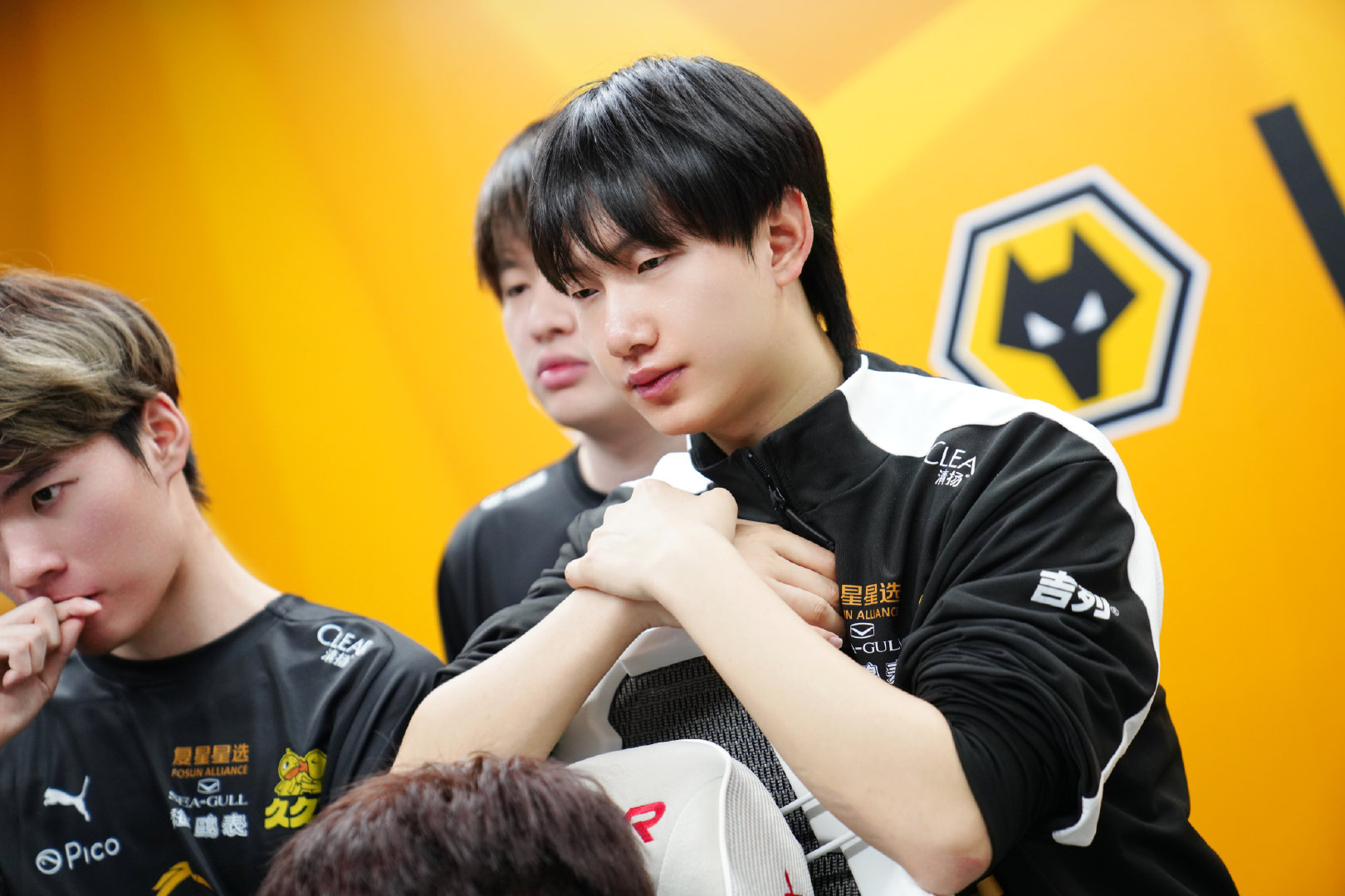 Wolves 3-0TTG, the bottle calls Fly a gold jungler, netizens: If you can't cure eStar, you can't ...