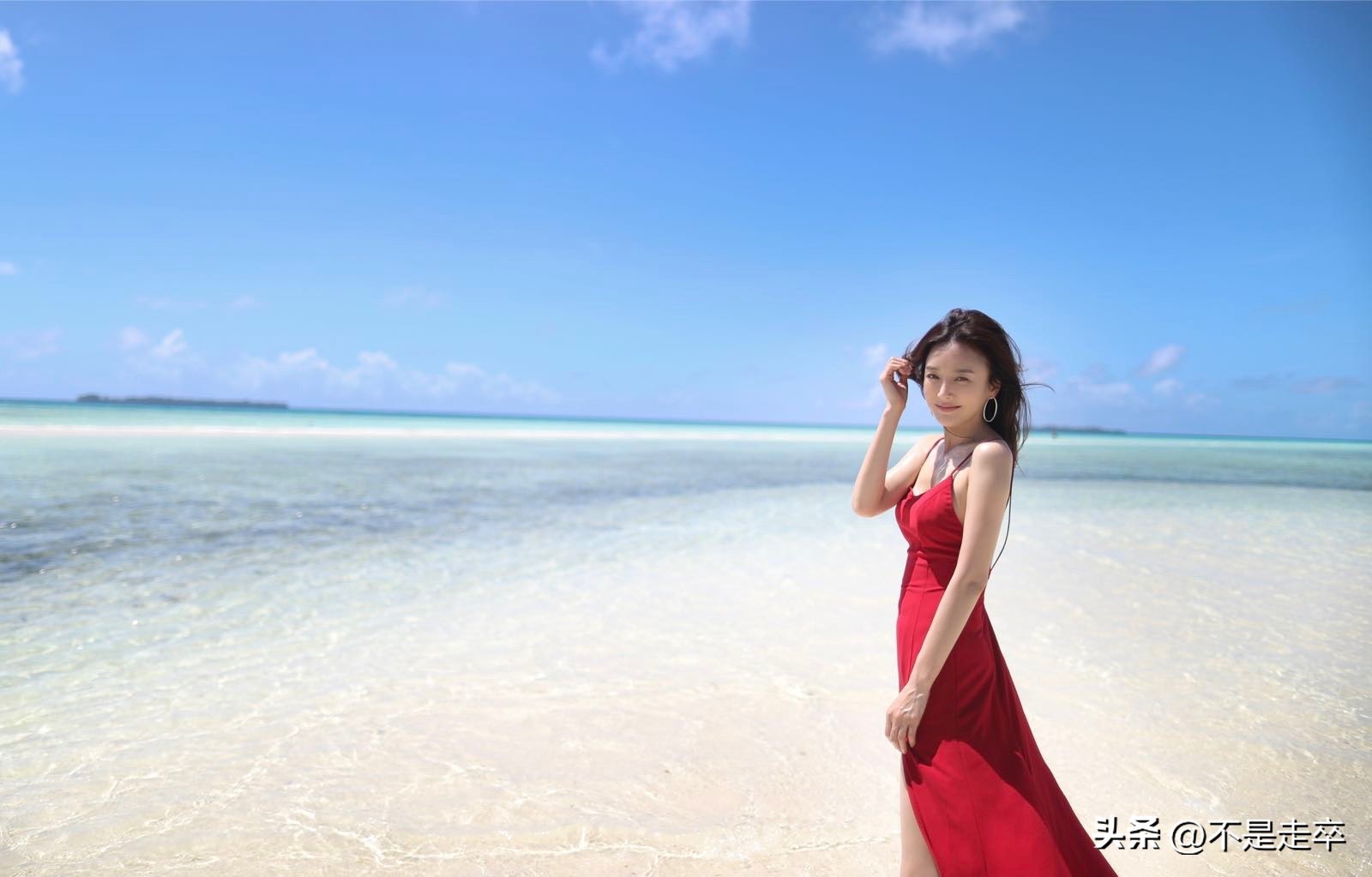 43-year-old Qin Lan finally gave Wei Daxun the title! By default, the two live together, and the ...