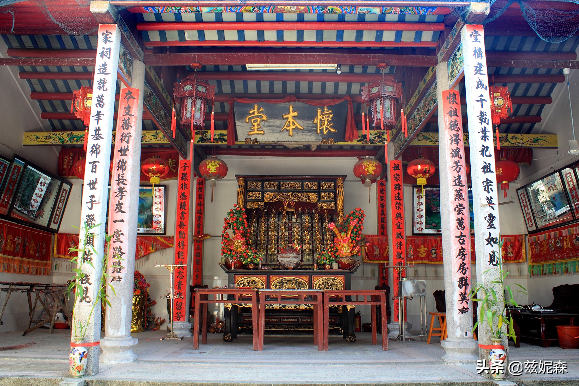 "Yang's Family Tree" Preface - iNEWS