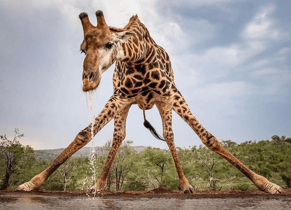 Body misalignment? Find out why your brain doesn't live in your stomach ...