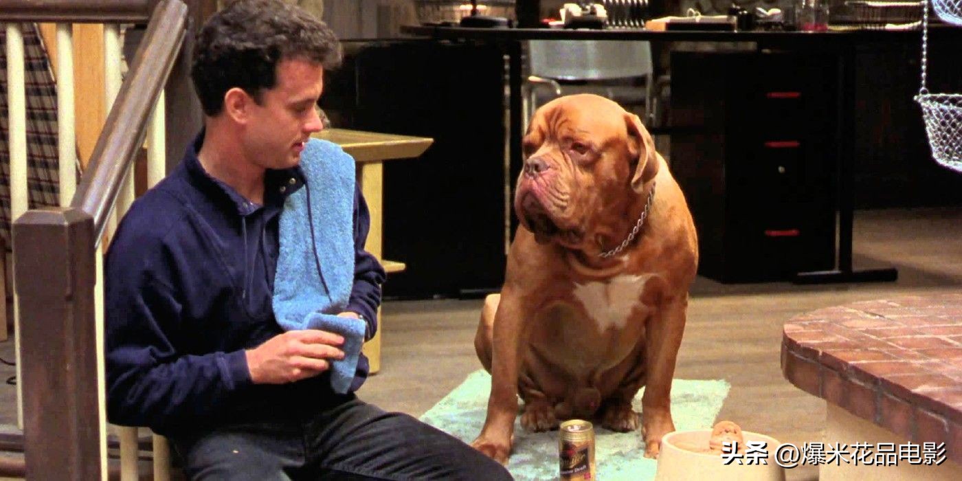 10 Sad Dog Movies That Will Make You Want to Hug Your Dog - iMedia