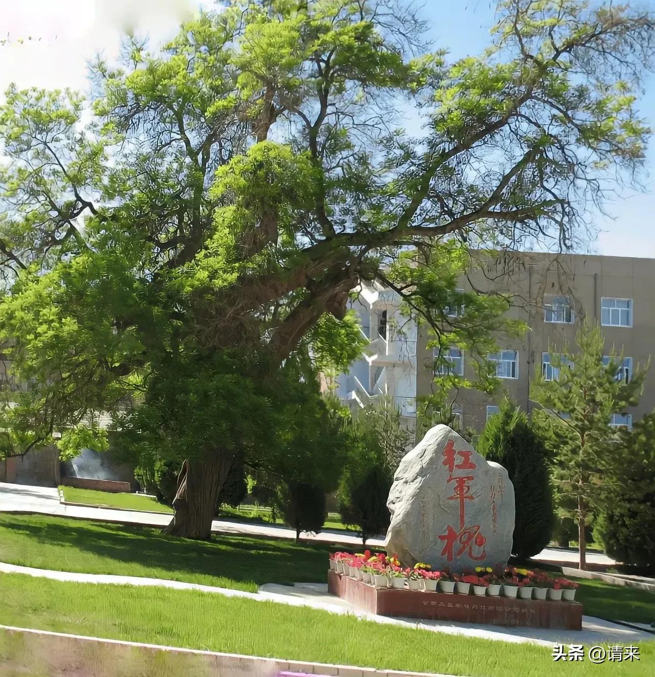 Indestructible Will——Commemorating the heroic deeds of the Red Army ...