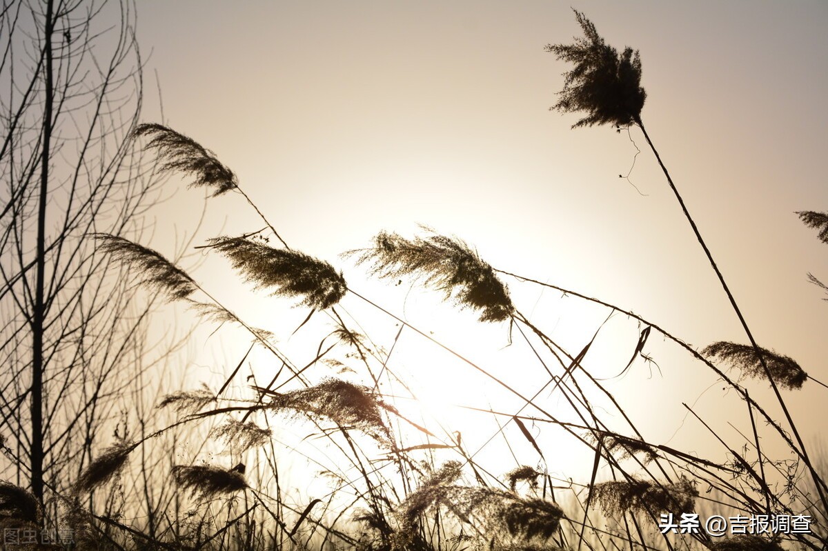 The wind in late autumn is ferocious, and Chinese medicine experts ...