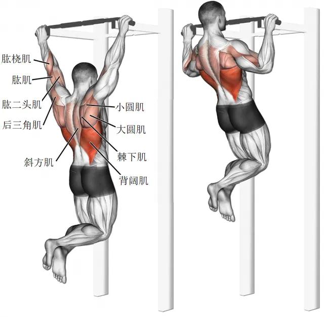 The difference between forehand pull-ups and backhand pull-ups ...