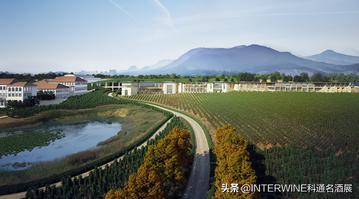 "8.16-18 Interwine" Great Wall of China, Red Glory - Great Wall Wine ...