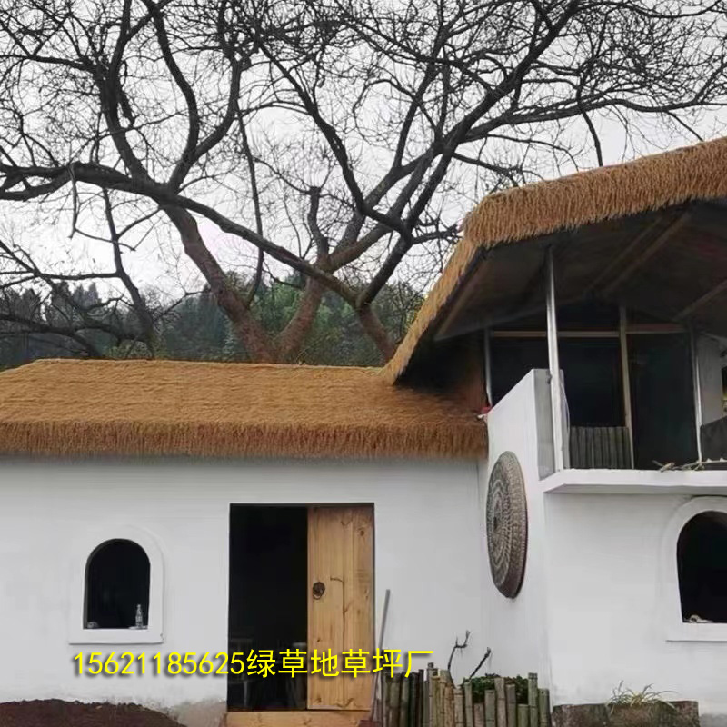 Artificial plastic imitation fake straw - iNEWS