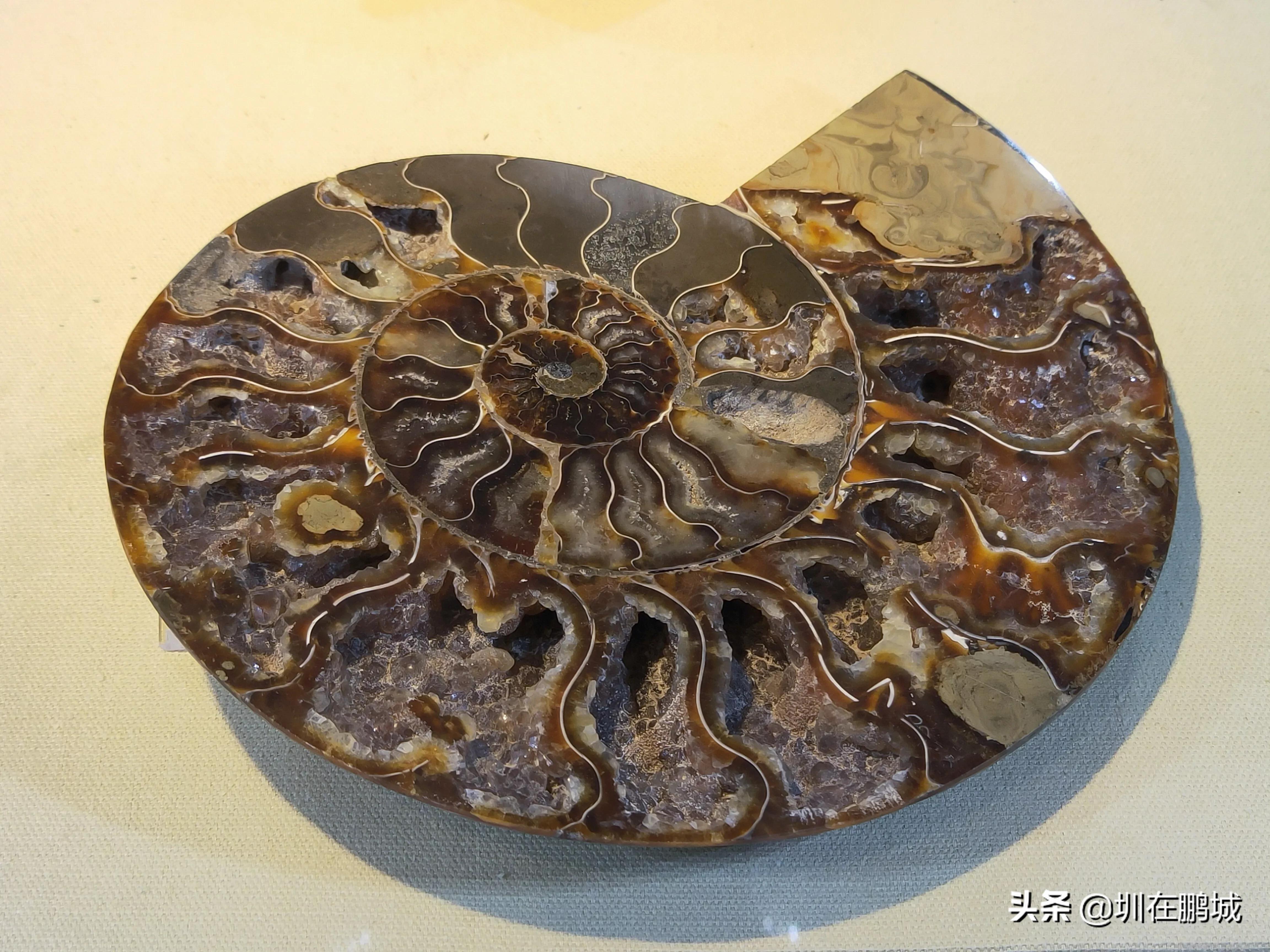 The Geological Museum under the Qiniang Mountain in Shenzhen - iNEWS