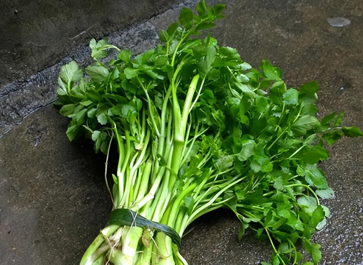 These 4 kinds of vegetables contain parasites, which are not nutritious ...