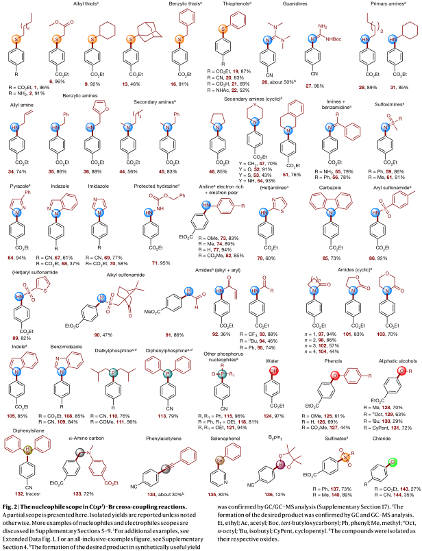 General cross-coupling reactions with adaptive dynamic homogeneous ...