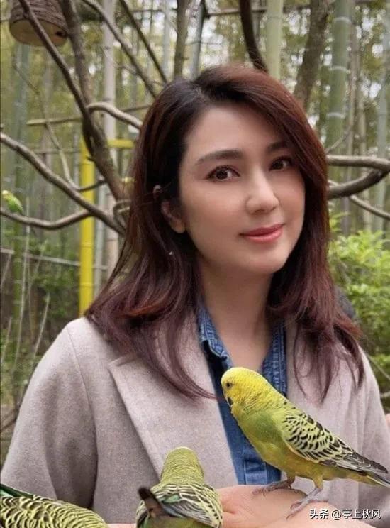 Hong Xin, who has gone through ups and downs, has no clue - iNEWS