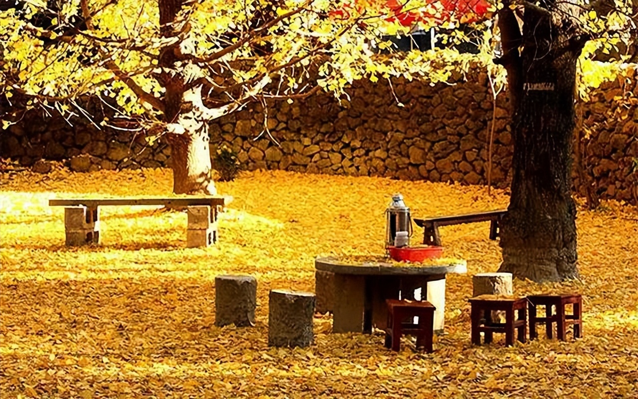 Jiangdong Ginkgo Village - iNEWS