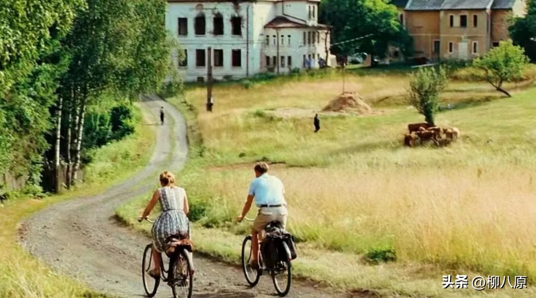 What is the purpose of the European and American film "The Reader ...