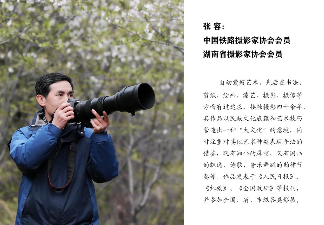 The Charm of Life (89) Appreciation of Zhang Rong's Photography Works ...